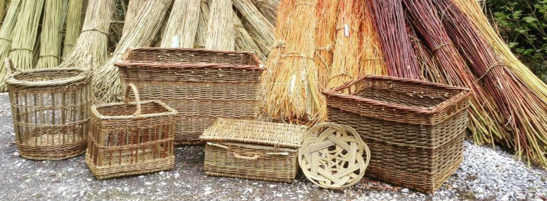 Home - Wyldwood Willow